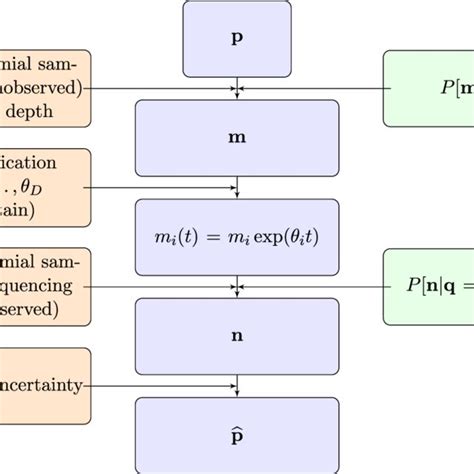 Scheme Of Mmd Double Sampling And Multinomial Bottleneck From Top To