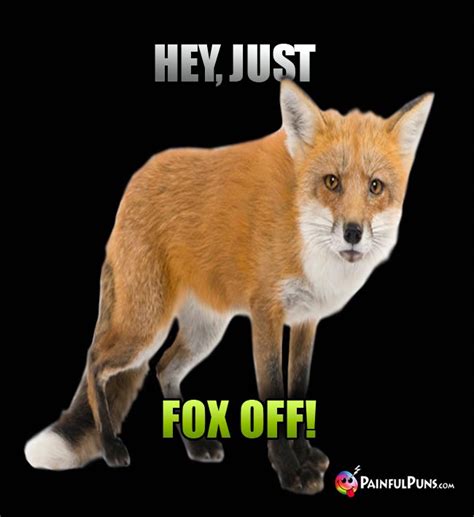 Fox Jokes Foxy Puns Vixen Humor