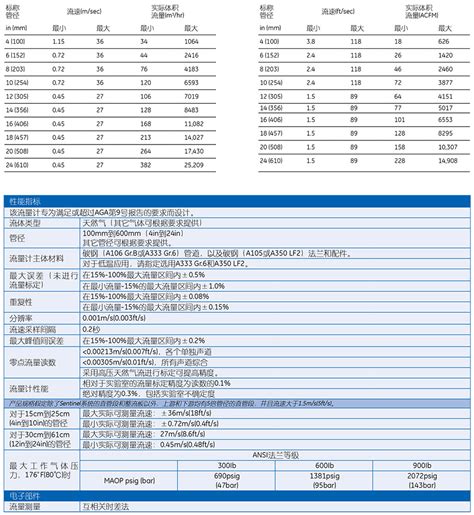 SentinelTM 计量级天然气超声波流量计 瑞莱恩斯