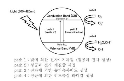 [보고서]가시광 감응형 Ti V O 산화물 광촉매 개발