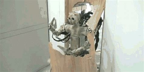 When I Start Using Sudo For All My Commands The Coding Love Programmer Humor S Memes Jokes