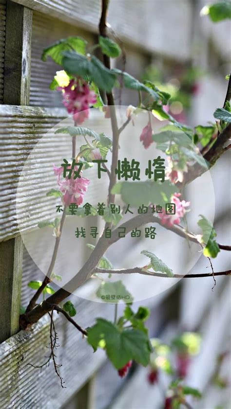 励志语录插图清新放下懒惰 不要拿别 高清图片堆糖美图壁纸兴趣社区