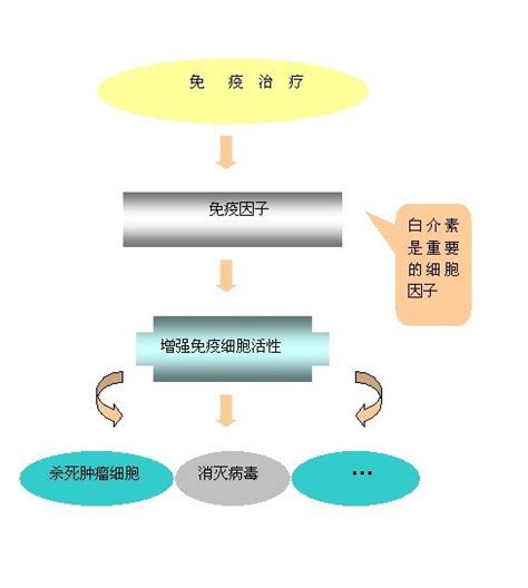 白介素10图册 360百科