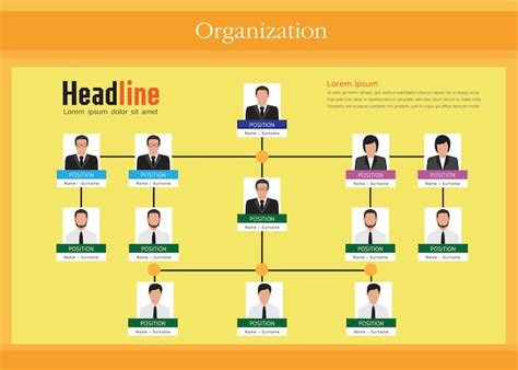Premium Vector Organization Chart Template