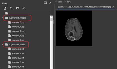 Mirza Riyasat Ali On Linkedin Machinelearning Objectdetection Dataaugmentation Ai Efficiency