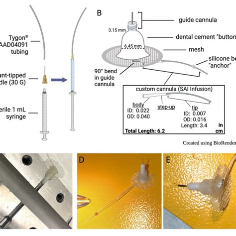 Catheter Design And Care A Set Up For Attaching Tubing To Syringe Download Scientific