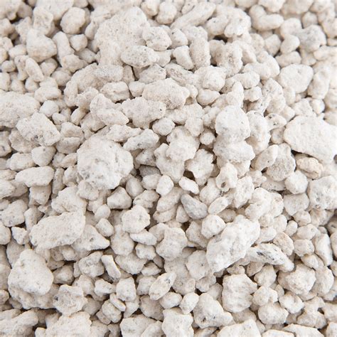 Vermiculita Vs Perlita Agrícola