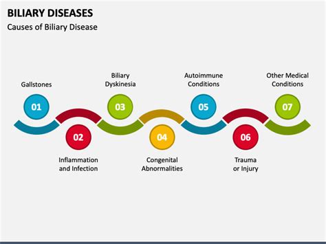Biliary Diseases PowerPoint And Google Slides Template PPT Slides