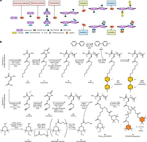 Syntheses Of Redox Active Polypeptides A B Synthesis Strategy A And