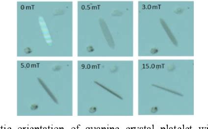 Figure 4 From Shape Observation By Local Illumination Using Reflected