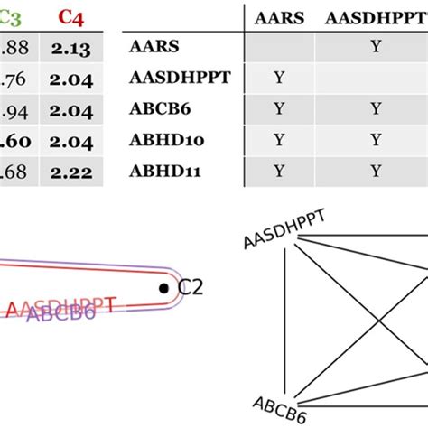 Transcriptomics Example Comparing Graphs And Hypergraphs Upper Left