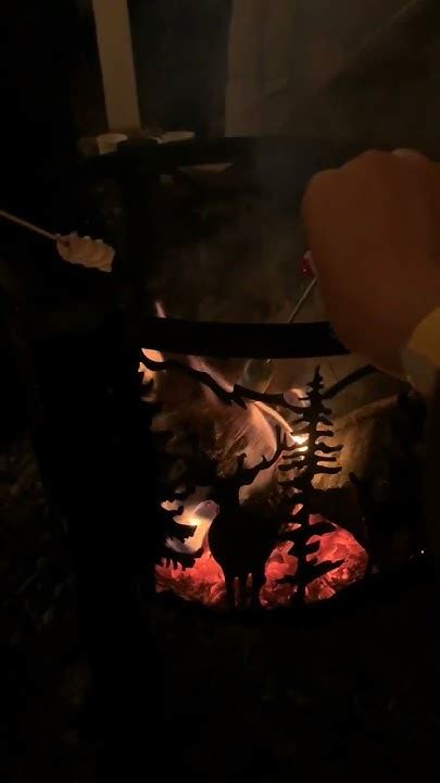 Дарите детям эмоции даже если они сопротивляются 🤣 Youtube