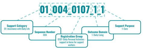 Understanding Ndis Line Item Numbers And How To Use It