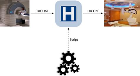 Orthanc Dicom Server