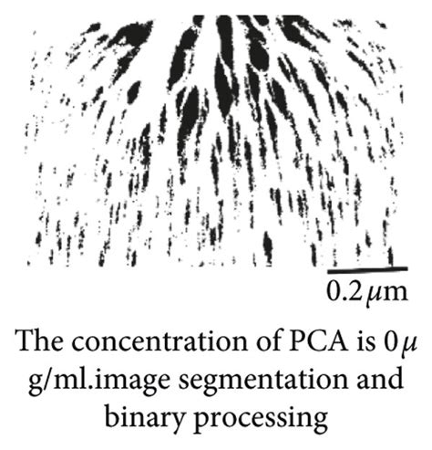 Af Image Analysis Graphs Of Platelet Coverage G Histogram Of