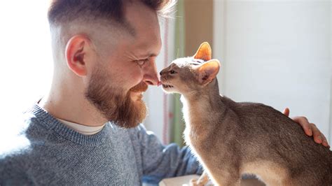 11 Adorable Things Cats Only Do If They See You As Their Mom Or Dad Yourtango