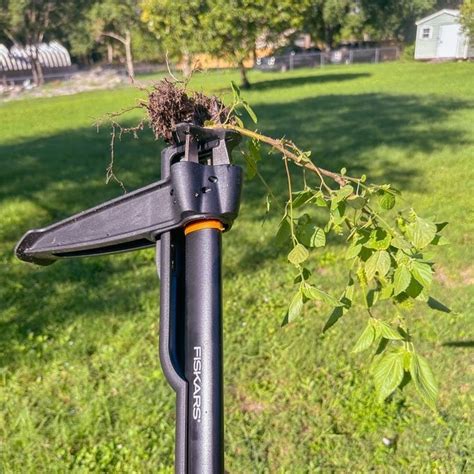 Fiskars Weed Puller Review [2025]