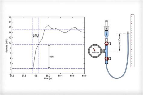 Ics 2015 Committee Activity Good Urodynamic Practice Peer Review