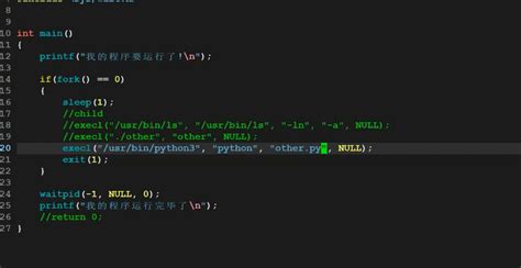 【linux】【实战向】linux 进程替换避坑指南：从理解 Bash 阻塞等待，到亲手实现能执行 Lscd 的 Shell Csdn博客