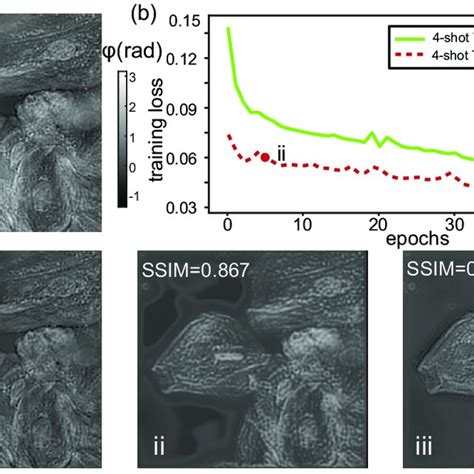 4 Shot Tie Phase Retrieval Using Transfer Learning A The Target Download Scientific Diagram
