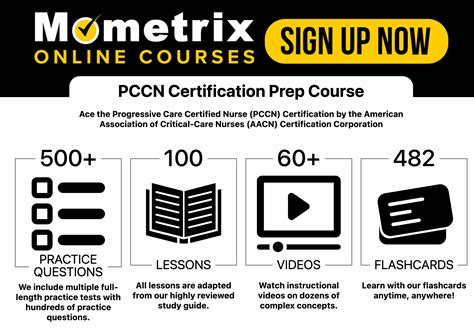 Best Pccn Review Courses Of 2025 Crush Your Exam