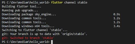 3 Flutter Update Flutter Problems — The Web Coder Path To Flutter