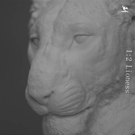 예약 상품 검도작업실 12 비율 암사자 흉상 미도색킷 고현생