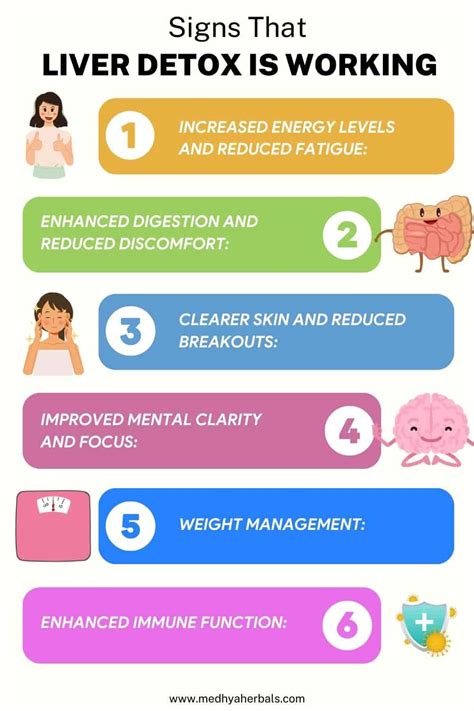 Beyond The Hype 7 Real Signs Your Liver Detox Is Working