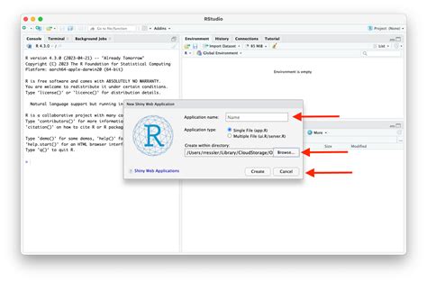 10 Shiny Basics Lecture Notes For Au Data 413 613 Data Science