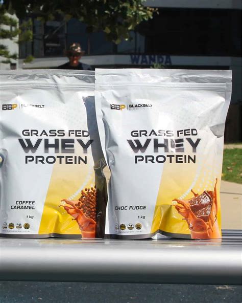 Blackbelt Protein Mass Supplement Ultimate Guide