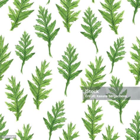 흰색 배경에 수채화 양귀비 잎 원활한 패턴 손 그리기 그림입니다 직물 벽지 배경에 적합합니다 0명에 대한 스톡 벡터 아트 및 기타 이미지 Istock