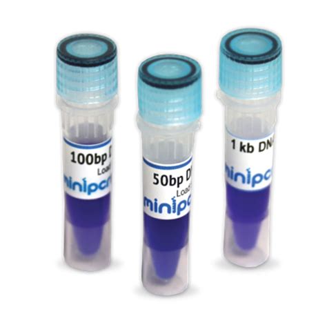 Dna Marker Lambda Dna Hindiii Digest Southern Biological