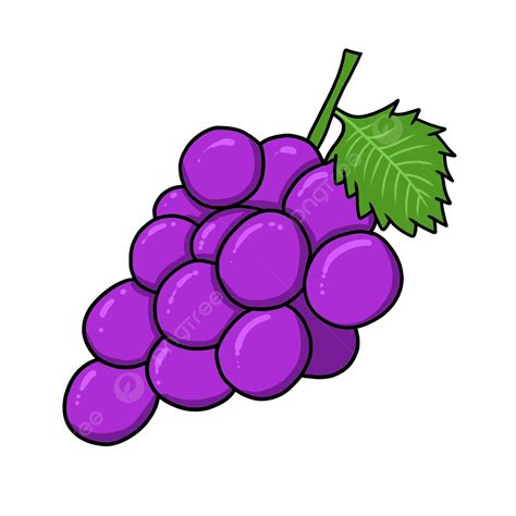 Ilustração De Desenho De Uva Vetor Png Uvas Vinho Fruta Imagem Png
