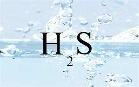 تخفيض كبريتيد الهيدروجين Pure Aqua Inc