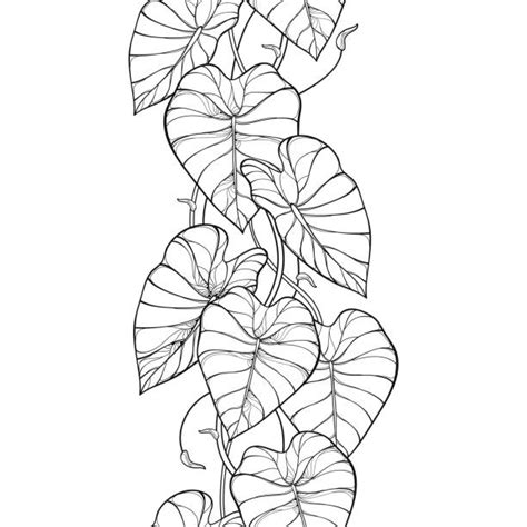 1200개 이상의 토란 스톡 일러스트 Royalty Free 벡터 그래픽 및 클립 아트 Istock