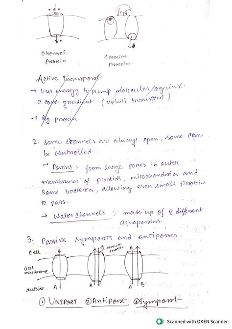 Solution Complete Transport In Plants Botany Neet Diagram Based