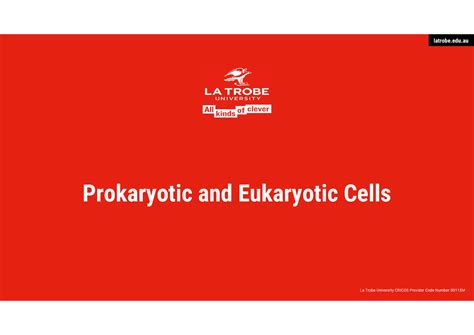 Prokaryotes And Eukaryotes La Trobe University CRICOS Provider Code Number M Prokaryotic