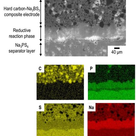 Cross Sectional Sem Image And Eds Elemental Mappings For C P S And Download Scientific