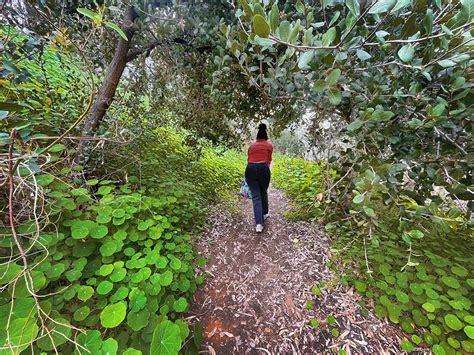 Hosp Grove Hidden San Diego