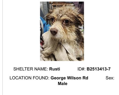 Bell County Texas Bell County Texas Animal Shelter