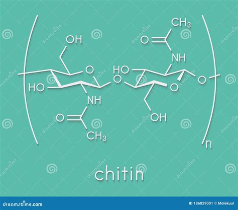 Chitin Chemical Structure Cell Walls Component In Insect Exoskeletons