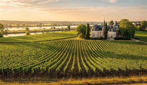 Quiz Connaissez Vous Les Vins Du Val De Loire