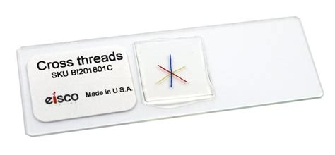 Prepared Microscope Slide Crossing Threads 75 X 25mm Introductory