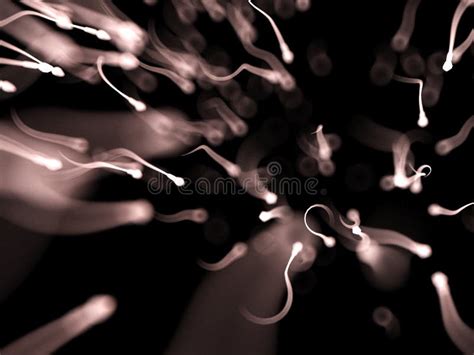 Human Sperm Stock Illustration Illustration Of Fertility 145656698
