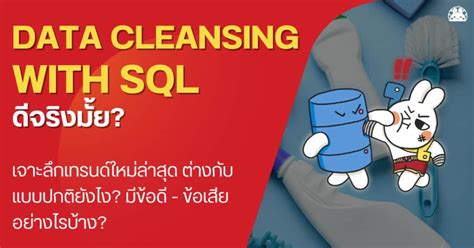 Data Cleansing with SQL ทำอยางไร มขอด ขอเสยอยางไร เขาใจ
