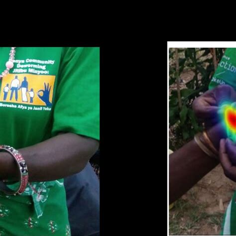 A Saliency Algorithm Example Note A An Original Image B The Sam