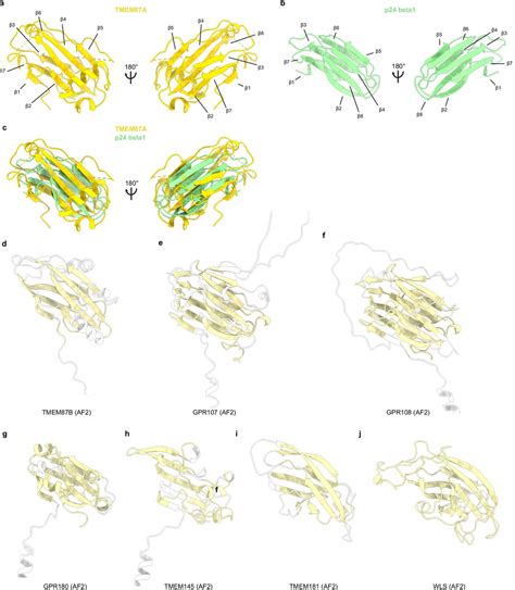 Figures And Data In Structure Of The Gold Domain Seven Transmembrane