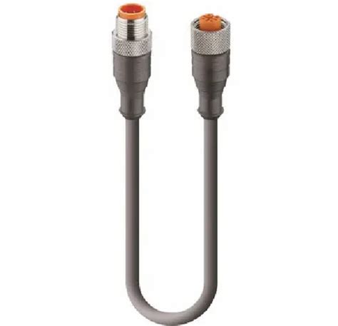 Rkt 5 56 2 M M12 Single Ended Cordsets Standard Types A And U Coding At Best Price In Pune