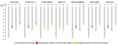 Agronomy Special Issue Bioinformatics Applied To Genetic Improvement Of Crop Species