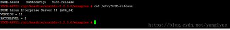 Suse源码安装ansible自动化工具suse11 安装ansible Csdn博客